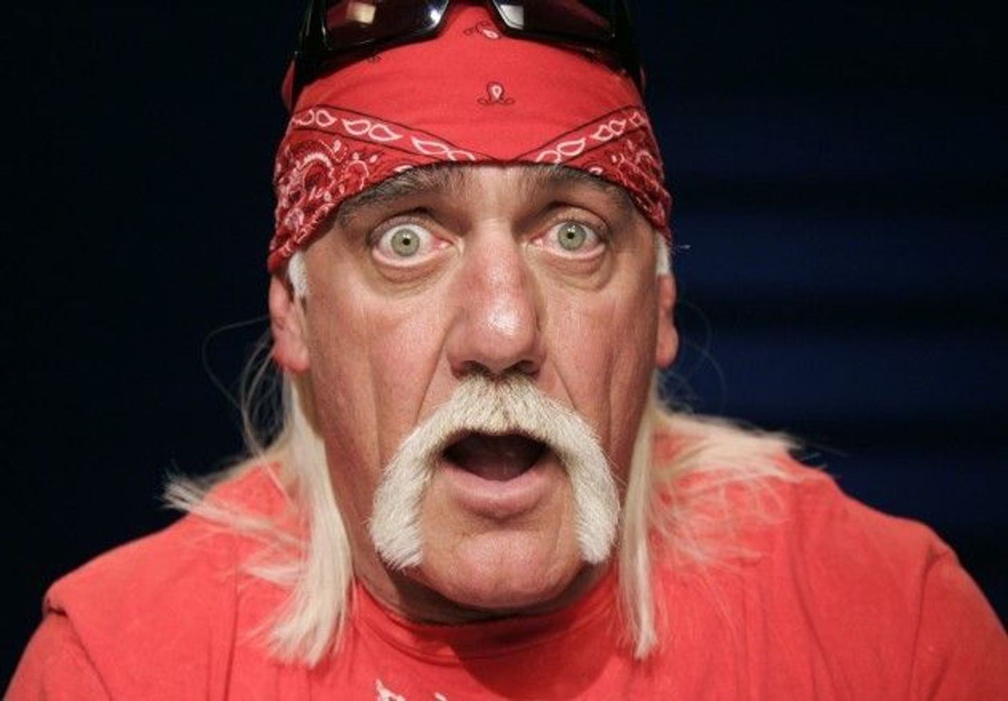 10 Reasons why Hollywood Hogan was superior to Hulk Hogan