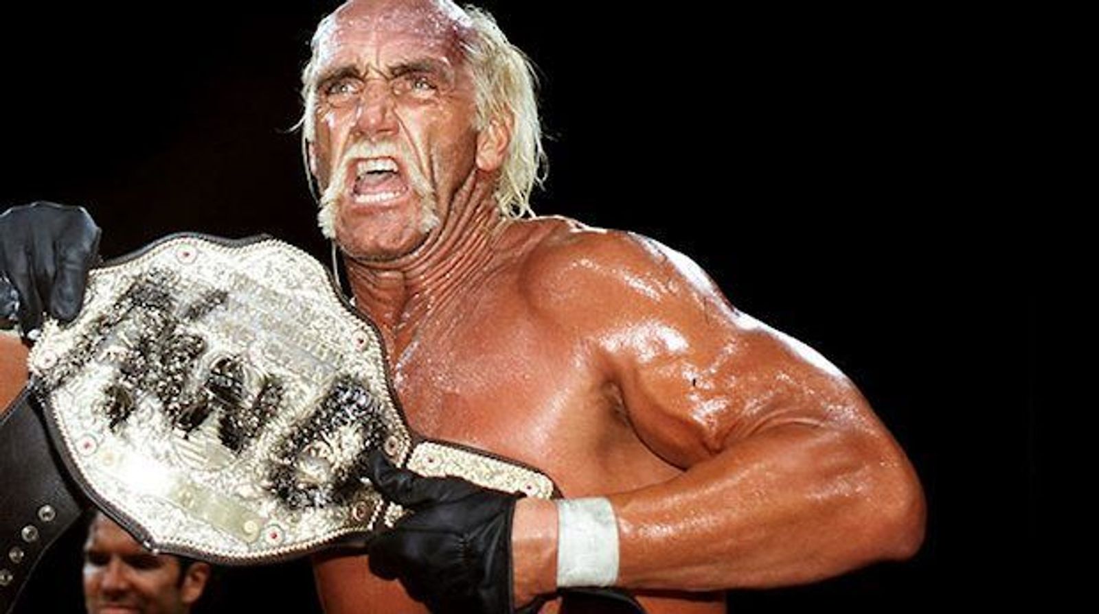10 Reasons why Hollywood Hogan was superior to Hulk Hogan