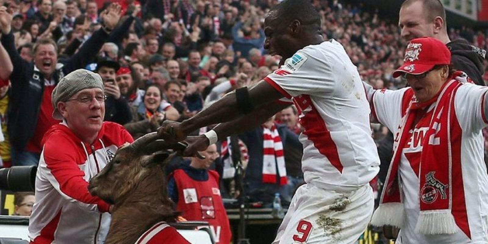 The legend of Hennes: The FC Koln Mascot