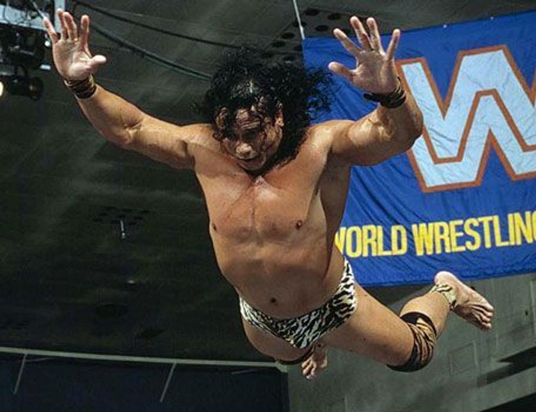 10 devastating top rope pro wrestling moves