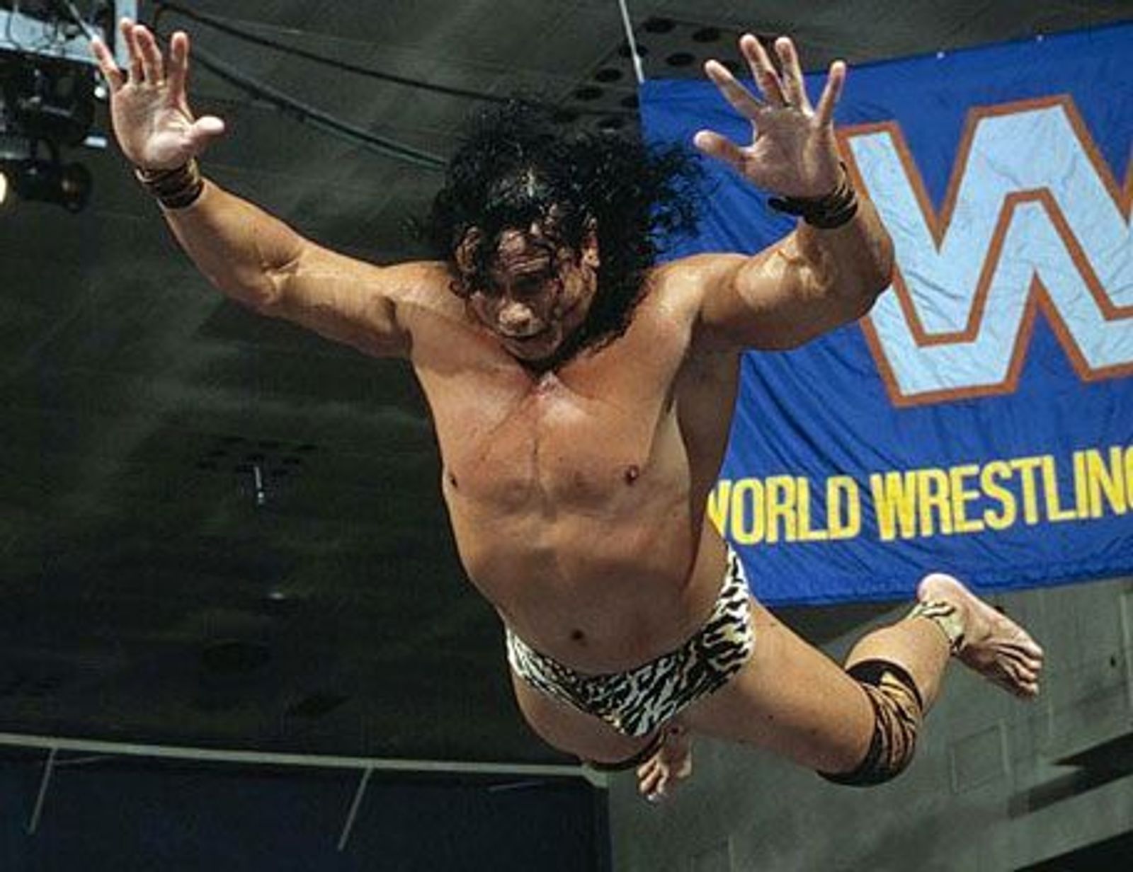 10 devastating top rope pro wrestling moves