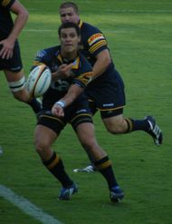 Who is Ellyse Perry's Husband?