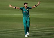 Shaheen Shah Afridi Records, Stats, Career Info - Sportskeeda