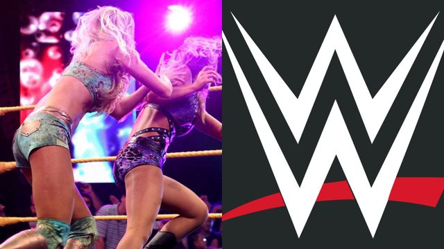 39-year-old ex-WWE female superstar has put out a challenge for one more match