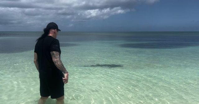 [WATCH] The Undertaker steps up to scare a shark away to save Michelle ...