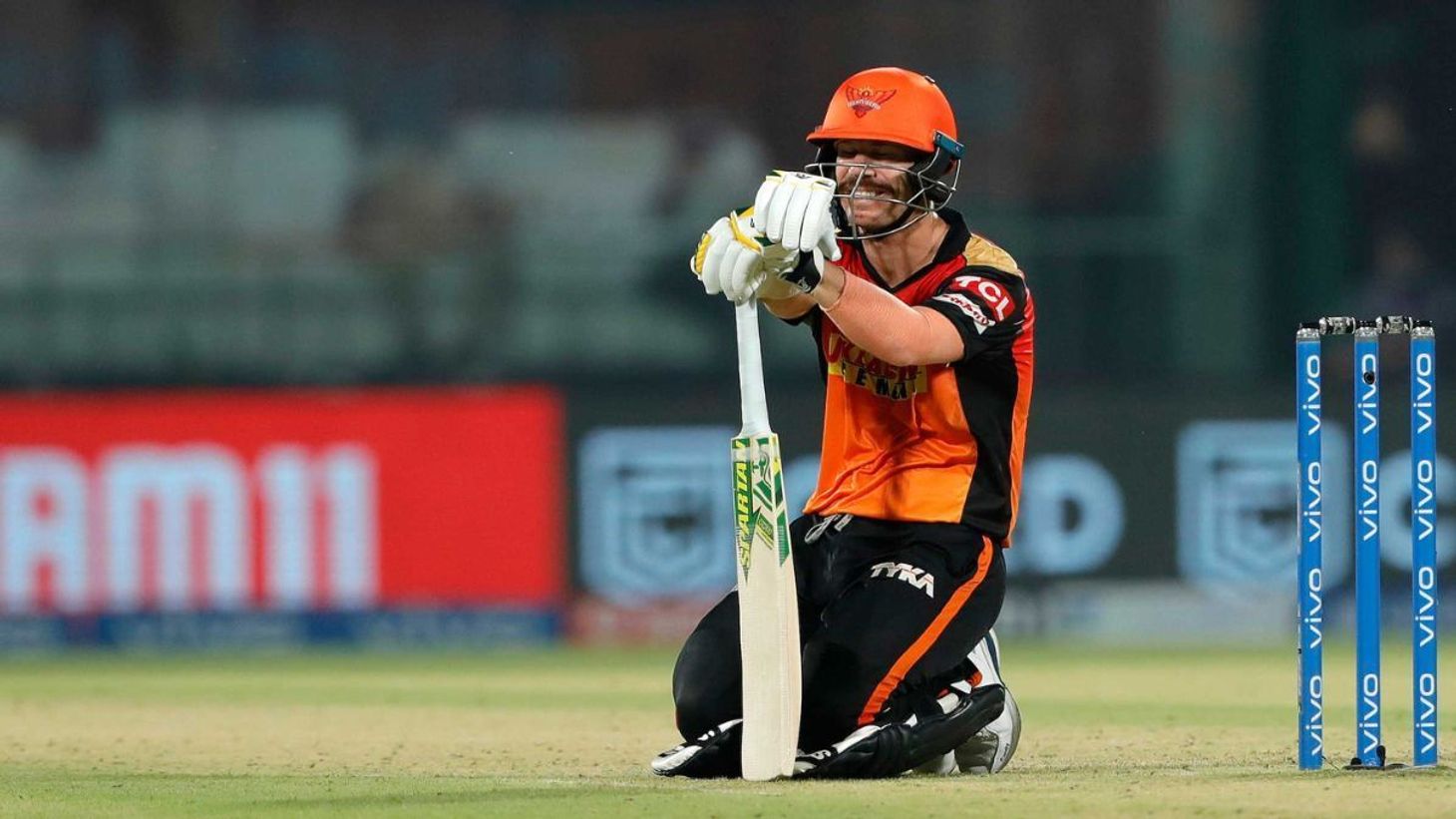 David Warner's IPL Career: Wickets, Runs, Records, Age, Price, Team 2024
