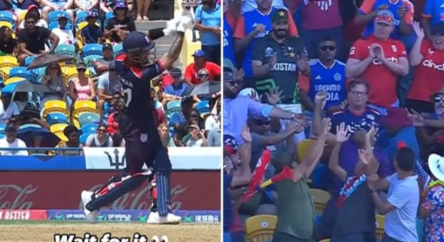 [Watch] Spectator takes brilliant catch as Nitish Kumar smokes 6 off ...