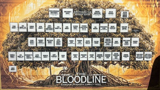 Real-life Bloodline member shares scary picture of Money in the Bank ...