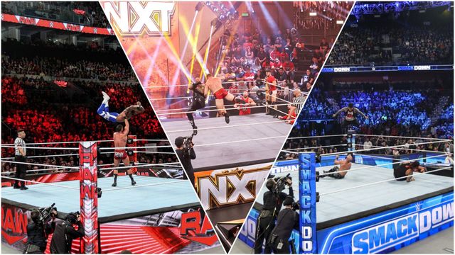WWE Universe names two surprising second generation stars as the future ...