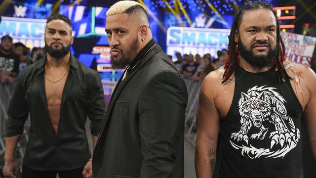 Wrestling legend lauds WWE for unpredictable ending with The Bloodline ...
