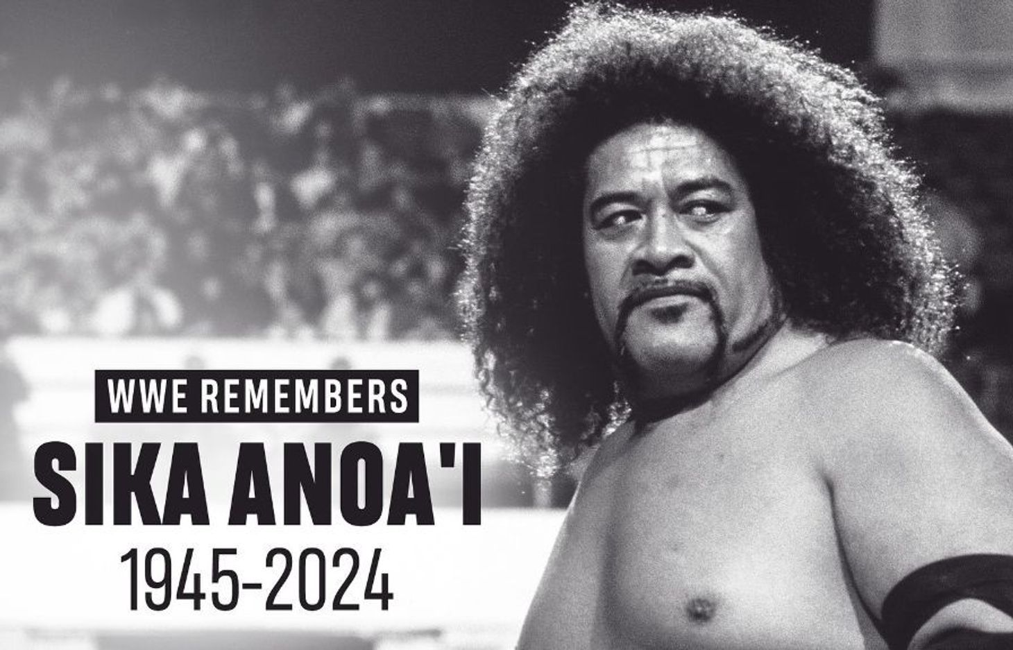 Who is Roman Reigns' Father? | Sportskeeda