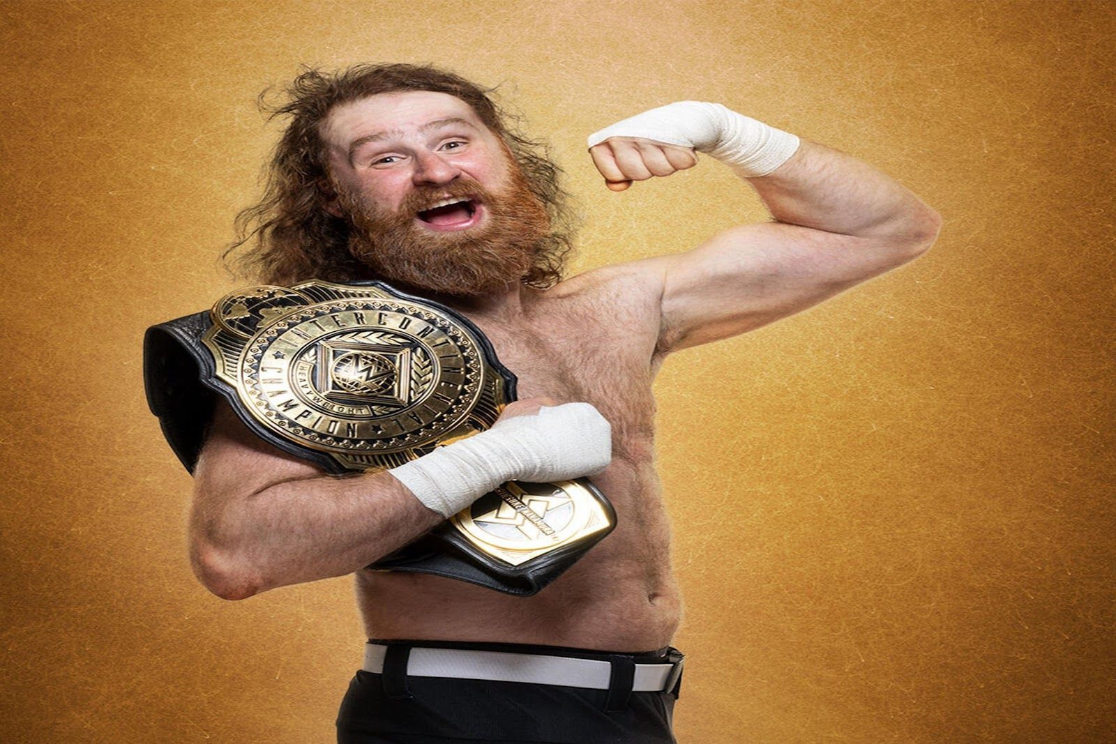 Sami Zayn Championship - Sami Zayn Titles, Gunther Accomplishments and more