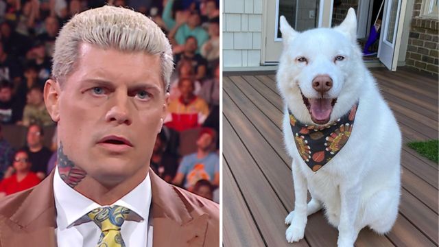 Prayers up for Pharaoh; WWE Champion Cody Rhodes shares upsetting picture
