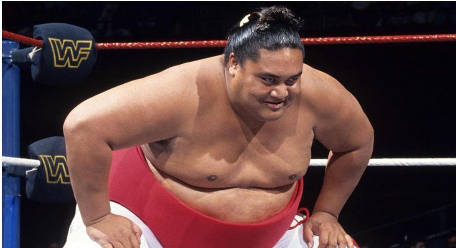 The Anoa'i Family Tree | Samoan WWE Wrestlers