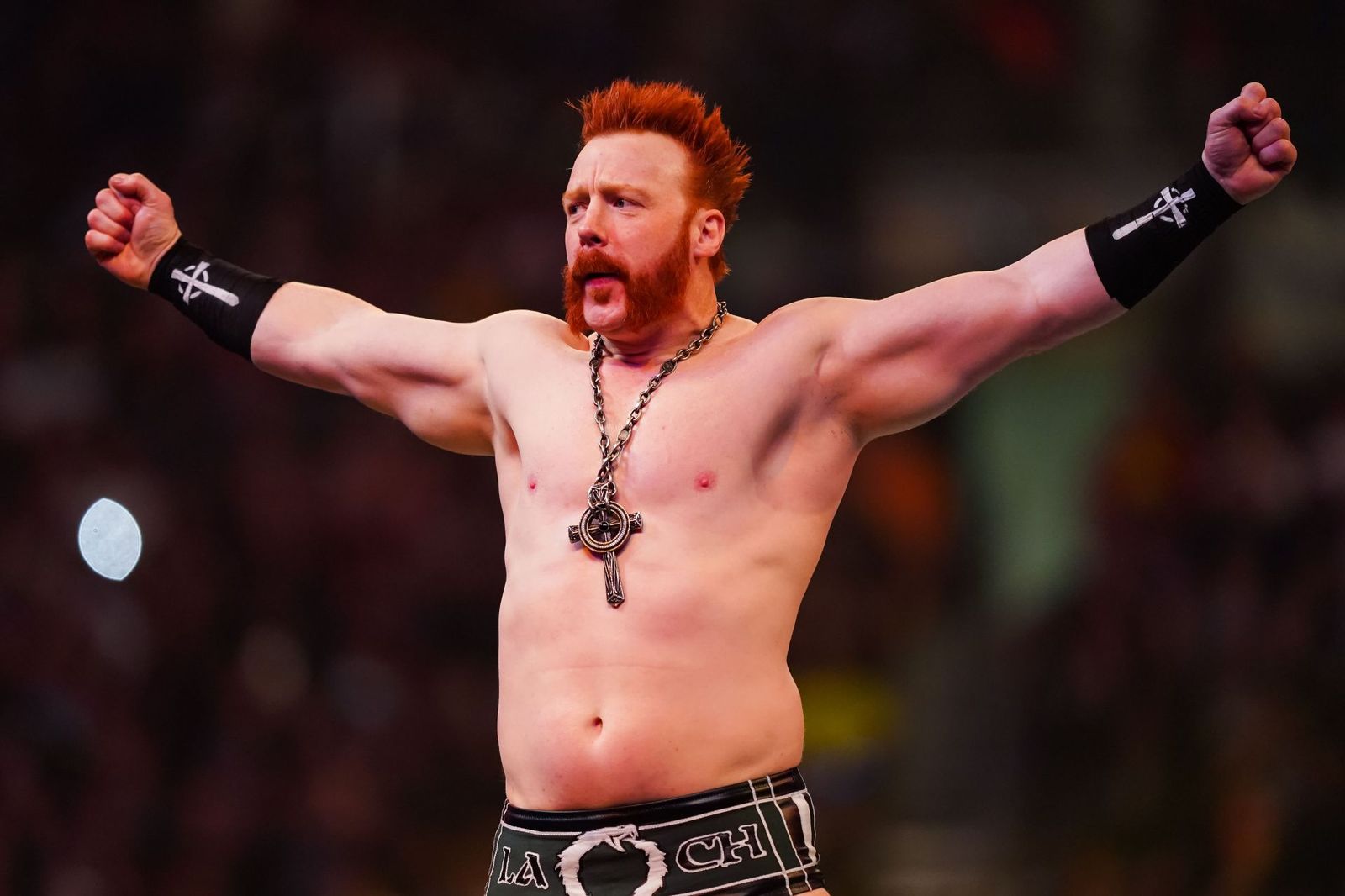 Sheamus Theme song | Discover Current Finisher Trademark Moves and more