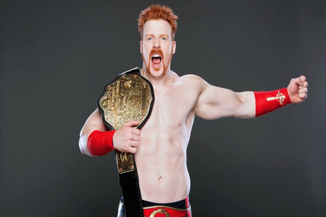 Has Sheamus won a WWE Championship?