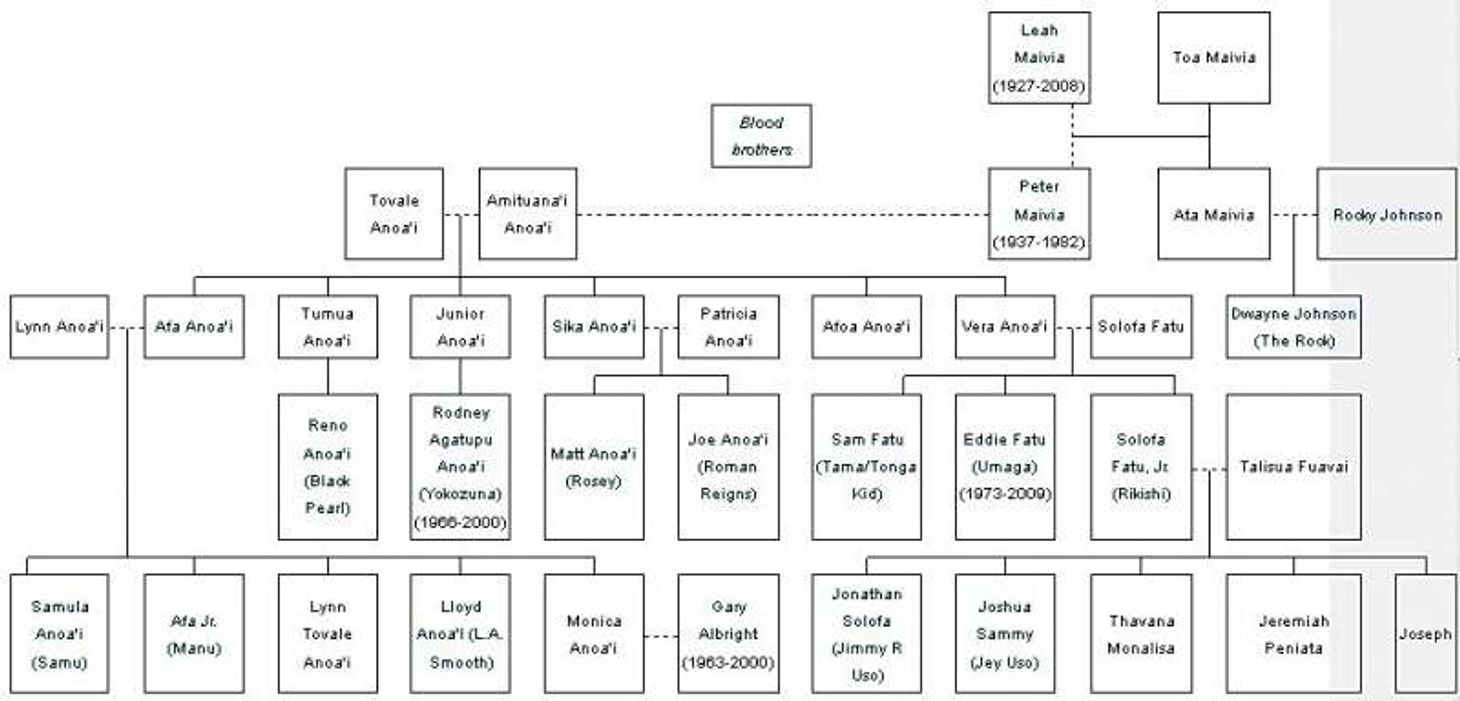 How is Roman Reigns related to The Rock?