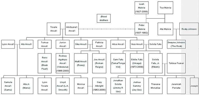 How is Roman Reigns related to The Rock?